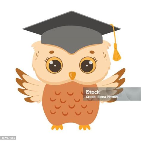 졸업 모자를 쓴 귀여운 올빼미 현명한 벡터 올빼미 만화 캐릭터는 흰색에 고립되어 있습니다 학교로 돌아 가기 갈색에 대한 스톡 벡터 아트 및 기타 이미지 Istock