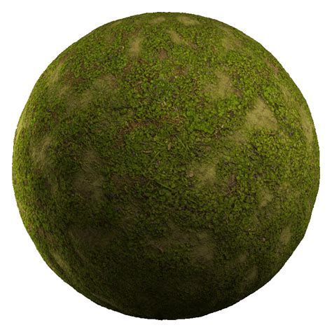 Wild Grass Pbr Texture A23d