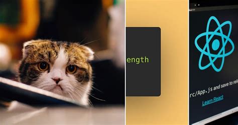 List Tech Curated By Mohamed Osama Medium