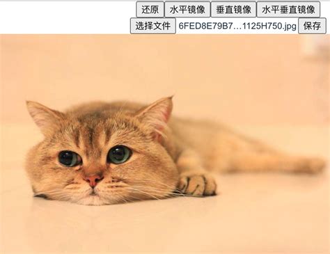 vue js3 图片镜像 翻转 并保存 vue 3 2 37 刘宏缔的架构森林 博客园