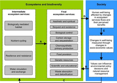 Science For Managing Ecosystem Services Beyond The 47 Off