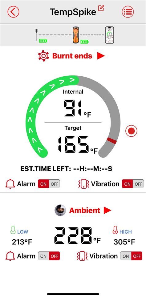 Temp Spike Thermometer R Smoking