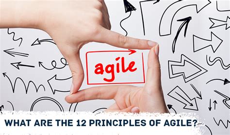 Agile Arena On Linkedin What Are The 12 Principles Of Agile Agile Arena