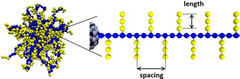Effect Of Polymer Architecture On The Structure And Interactions Of