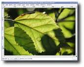 Learning GIMP Create Water Drops Softpedia