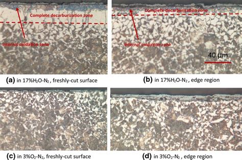 Decarburization Zones Developed After Holding At 900 °c For 20 Min In A