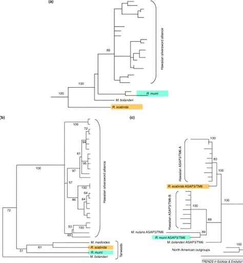 Hybridization And Adaptive Radiation Trends In Ecology Evolution