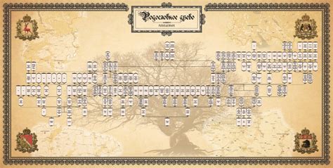 Как составить родословную где брать данные с чего начать этапы составления