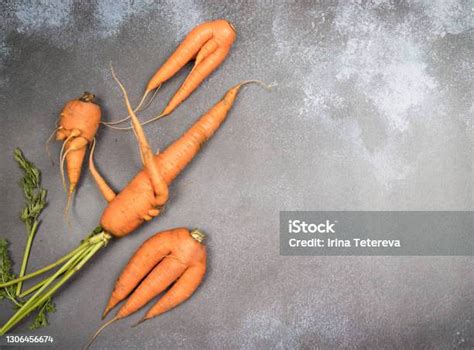 몇 못생긴 이상한 모양의 당근 뿌리는 회색 배경에 거짓말 공간 사본을 위한 장소입니다 수평 방향 0명에 대한 스톡 사진 및 기타 이미지 Istock
