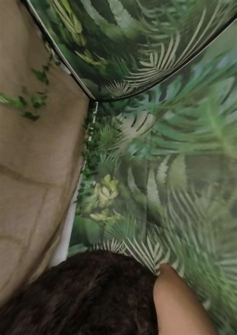 Siren Robots Eporner