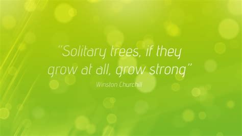 Bokeh Powerpoint Template Presentation Templates Graphicriver