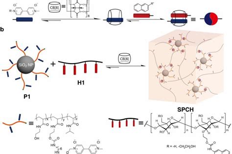 Scientists Develop More Eco Friendly Way To Synthesize Spider Silk
