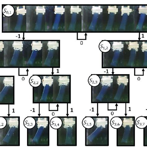 Automata Directed Graph For A 3 Symbol System N 3 8 Gels Were Run