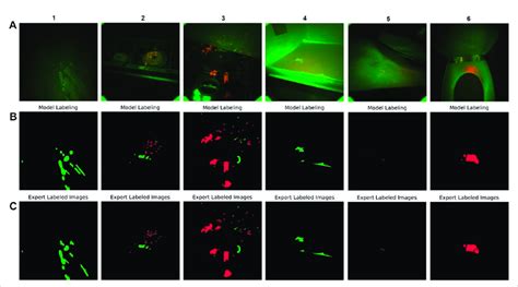 Deeplabv3 Model Performance On Selected Test Set Video Frames A