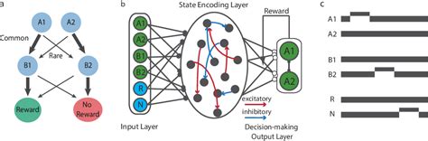 Figure 3 From A Neural Network Framework For The Orbitofrontal Cortex And Model Based