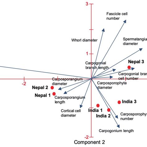 Biplot Diagram Of The Principal Components Analysis Based On