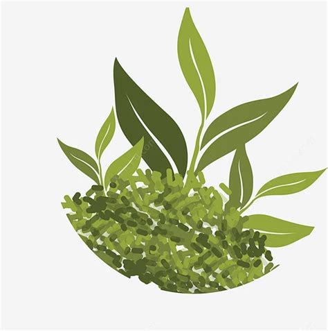 茶叶简笔画矢量茶叶免抠png素材 新图网 花瓣网