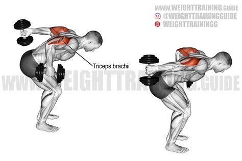 Standing Triceps Kickback Triceps Kickbacks With Dumbbells Youtube
