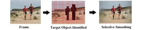 Selective Smoothing Of Individual Frames Download Scientific Diagram