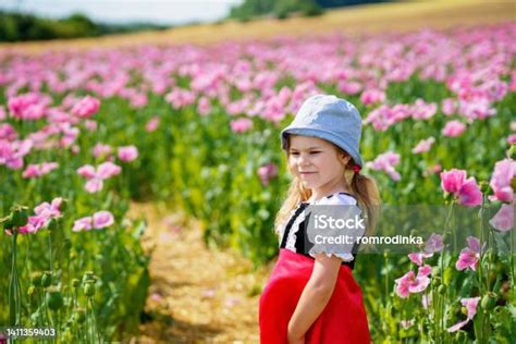 양귀비 밭에있는 어린 미취학 소녀 빨간 승마 후드 드레스를 입은 귀여운 행복한 아이는 분홍색 양귀비와 함께 꽃이 피는 초원에서 야외에서 놀고 있습니다 아이들과 함께하는
