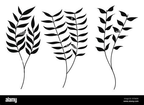 Silhouette Botanical Set The Images Are Minimalist Showcasing Simple