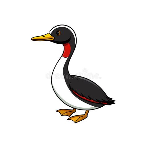 Atitlan Grebe Stock Illustrations 5 Atitlan Grebe Stock Illustrations Vectors And Clipart