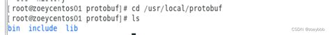 Linux下编译安装protobuflinux安装protobuf Csdn博客
