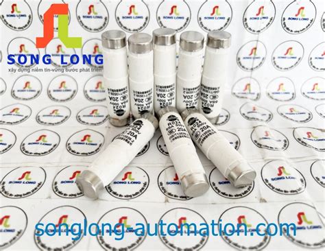 CẦu ChÌ CỔ Chai Zhengrong Ro24 20a