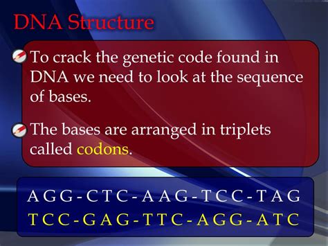 PPT DNA Structure PowerPoint Presentation Free Download ID