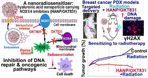 纳米人 Acs Nano：透明质酸纳米颗粒抑制nadph氧化酶 Ros信号以克服癌症治疗的辐射抗性