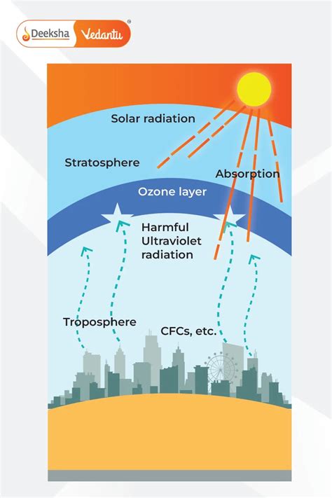 Understanding The Ozone Layer Causes Effects And Solutions