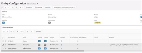 Read Only Custom Field On Custom Entity Is Not Able To Read Data From