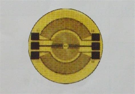 High Temperature Strain Gauge Grandado