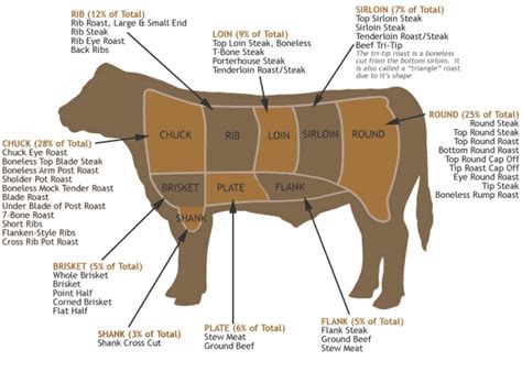 Know Your Beef Cuts And Where They Come From Mamoc