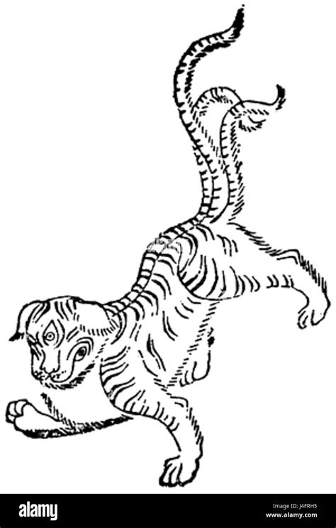 The Shan Hai Jing Kan Refers To A Version Or Translation Of The Shan