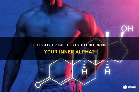 Is Testosterone The Key To Unlocking Your Inner Alpha Medshun
