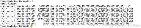 使用rman进行异机恢复oracle数据库oracle Rman异机恢复 Csdn博客