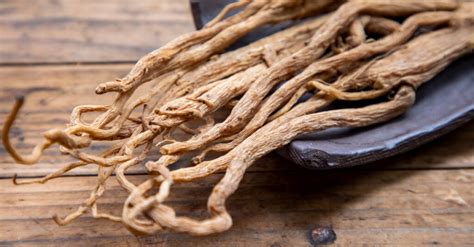 Codonopsis Root Benefits Boost Immunity And Enhance Vitality
