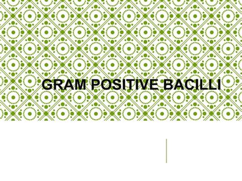 Bacillus Ppt Ppt Ppt Infectious Diseases Diseases And Conditions