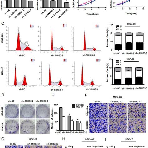 The Inhibition Of Snhg3 Suppresses In Vivo Tumor Growth A Tumor Download Scientific Diagram