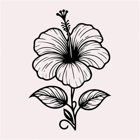 하 바탕에 히비스쿠스 꽃 라인 아트 실루 터 프리미엄 벡터