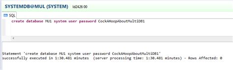 Software Provisioning Manager And Sap Hana Multi T Sap Community