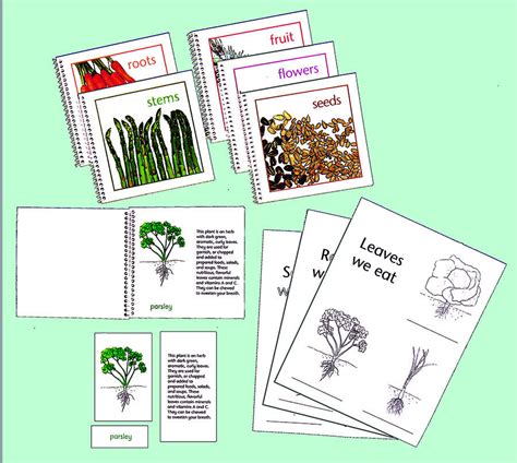 Plants We Eat Big Picture Science