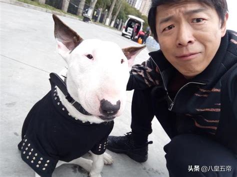 極限挑戰第五季宣佈，陣容大換血，孫紅雷黃渤退出《極限挑戰》 每日頭條
