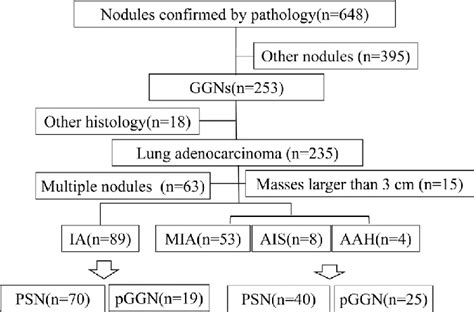 Patient Selection And Demographic Flowchart Download Scientific Diagram