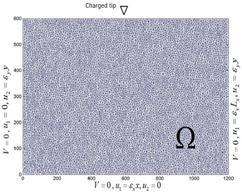 Computational Domain And Tip Geometry Mesh And Boundary Conditions