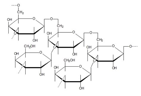 Helix Pomatia Galactan Structure Pilgaard Polymers