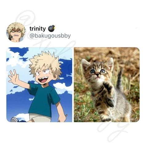 Pin Oleh Gxid S Di Bakugo Katsuki