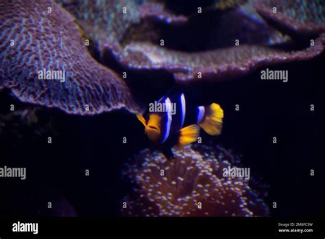 Institute Building Marine Aquarium And Science Museum For Thai People Traveler Travel Visit