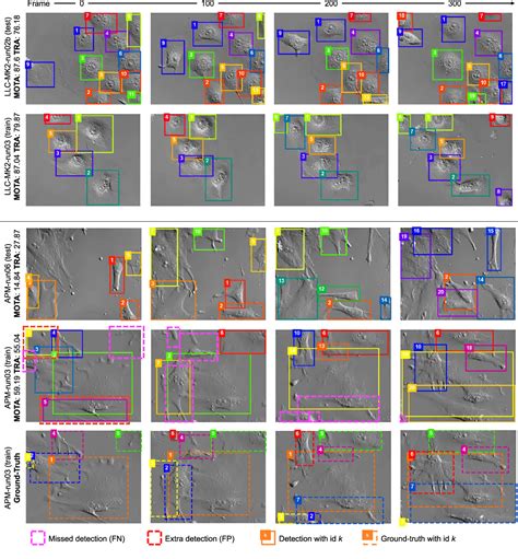 Figure 10 From Ensemble Deep Learning Object Detection Fusion For Cell Tracking Mitosis And